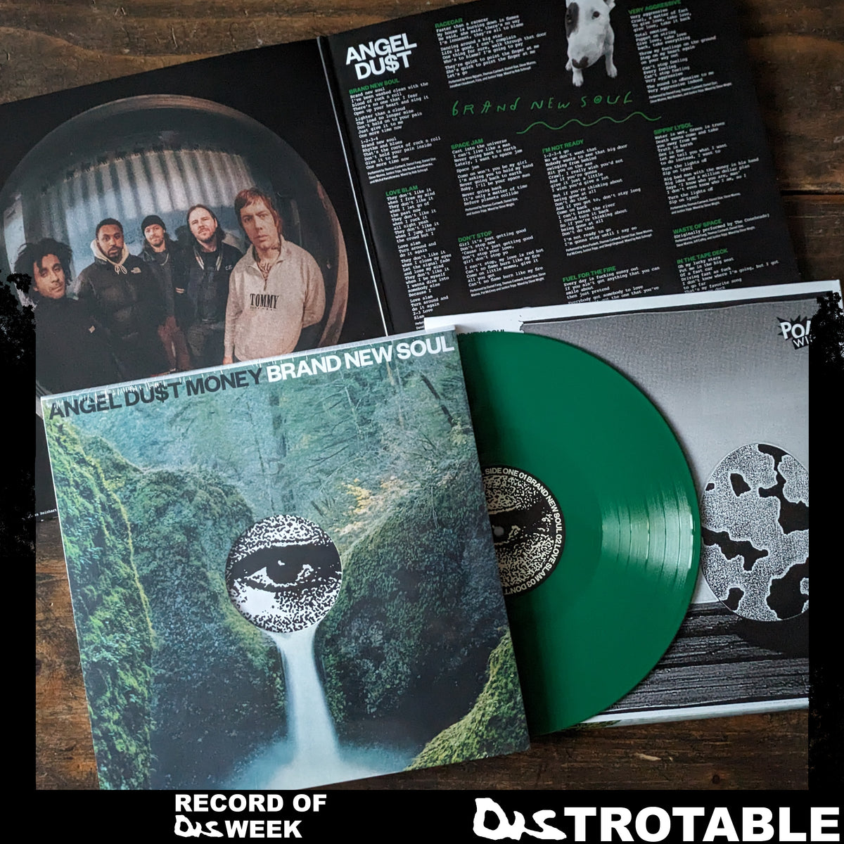 NL #2: Record of The Week, Top of The Punks (Chart) and more – Distrotable